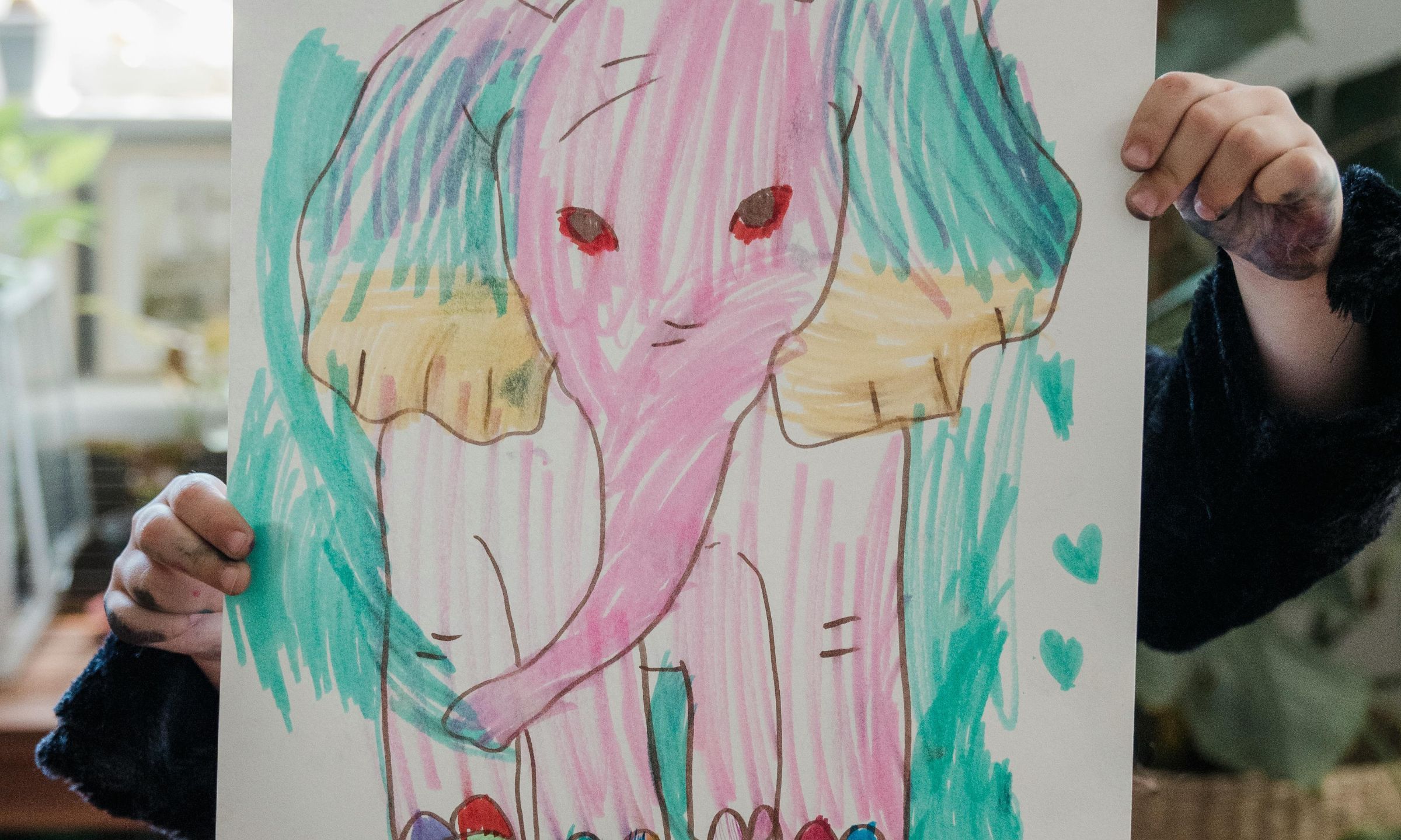 EcoAventureiros - Galeria